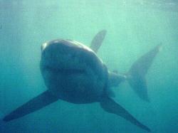 From Jack Downey ~ The Time Spent Fishing Won't Be Taken Off Your Life.